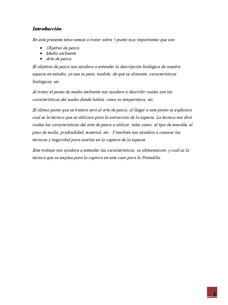 Red de Enmalle para Pintadilla | PDF | Biología Marina | Entorno natural