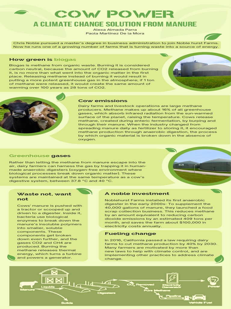 Cow Power: Turning Manure into Energy | PDF