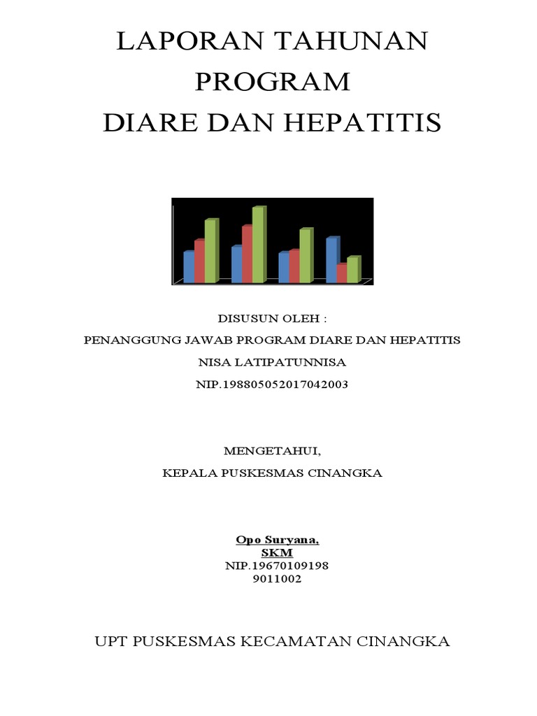 Laporan Tahunan Program Diare - Hepattis 2022 | PDF