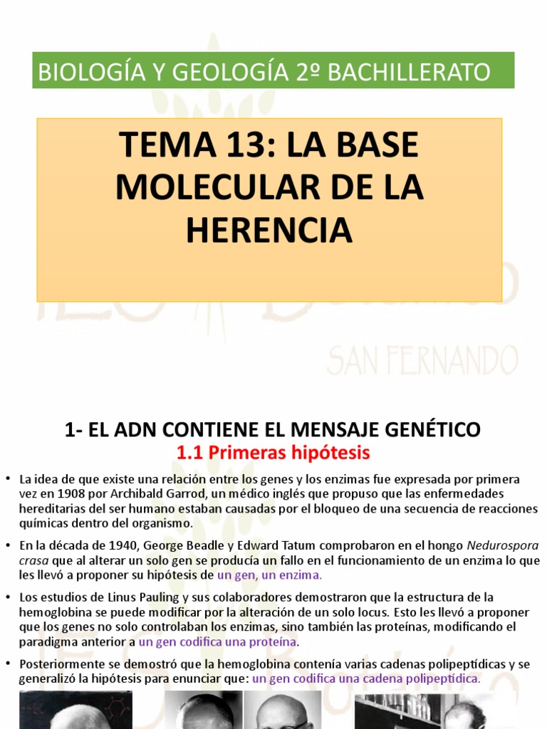 La base molecular de la herencia: El ADN y la replicación | PDF | Replicación De Adn | Rna