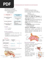 Anatomia de La Audicion | PDF | Hueso | Membrana mucosa