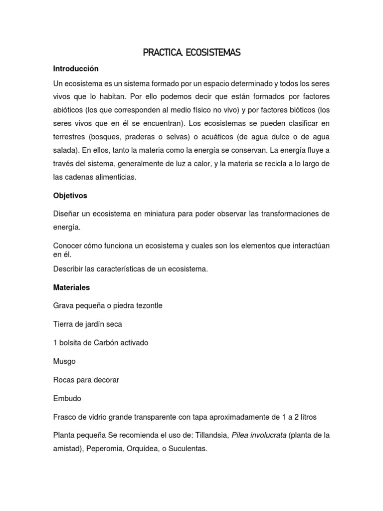 Practica Ecosistemas | PDF