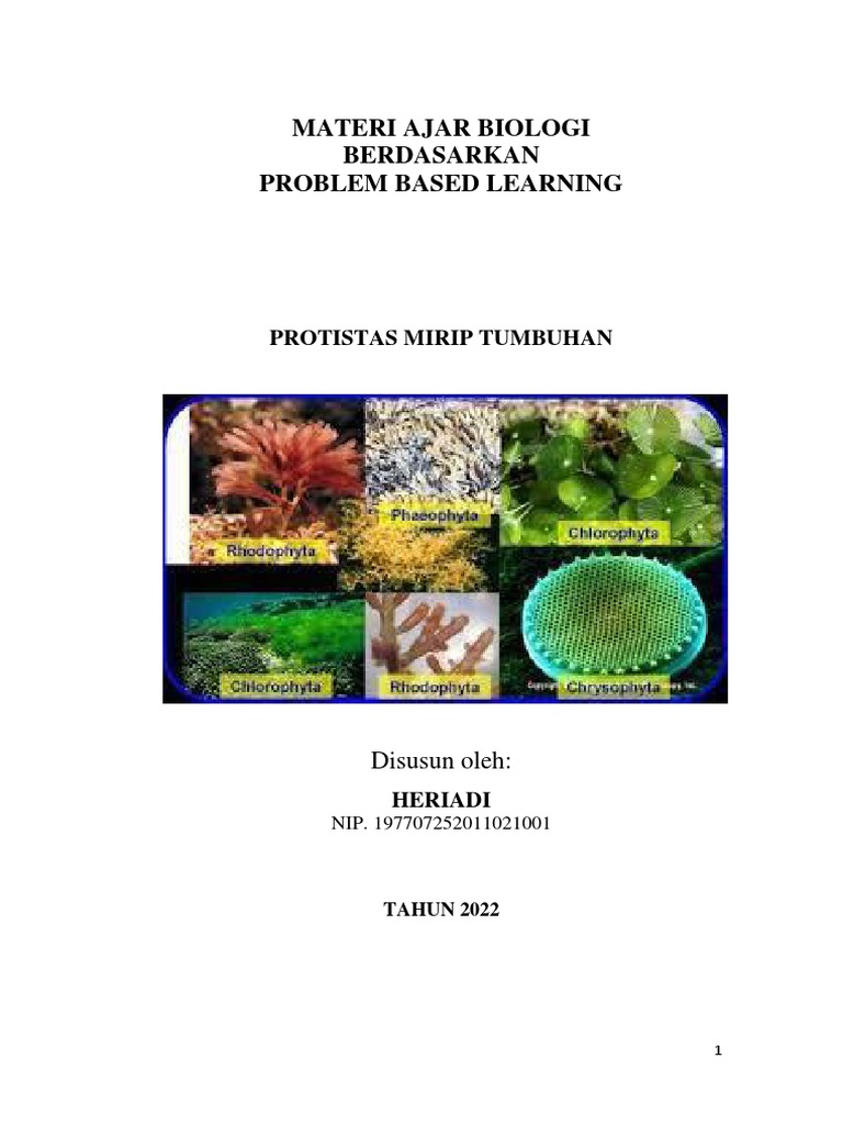 Ciri dan Manfaat Protista Mirip Tumbuhan | PDF | Ilmu Sosial | Sains ...