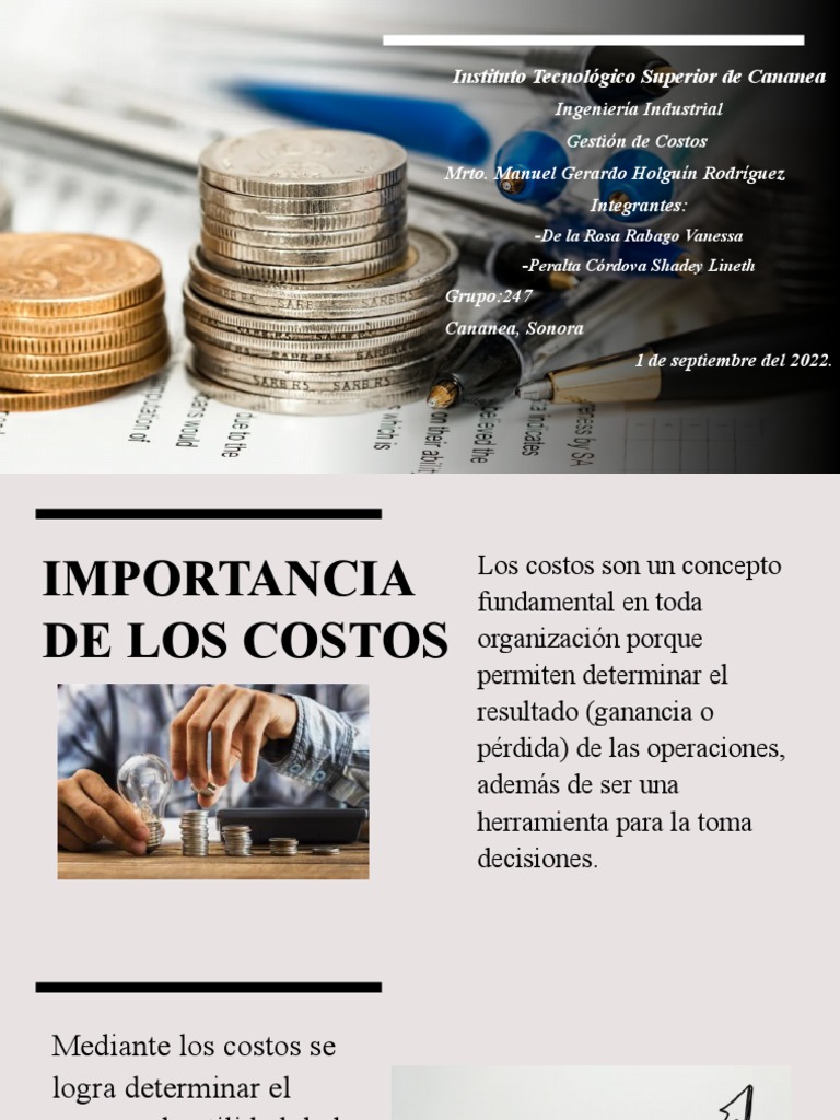 Importancia de Los Costos | PDF