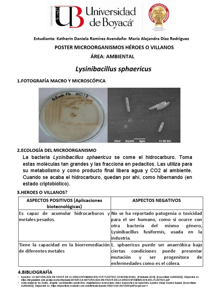 POSTER Lysinibacillus Sphaericus | PDF