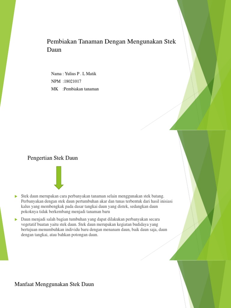 Pembiakan Tanaman Dengan Mengunakan Stek Daun | PDF | Griya & Taman