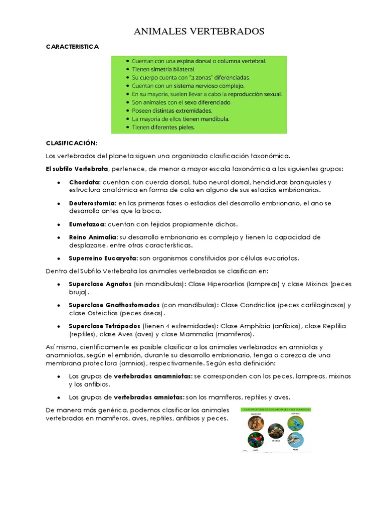 Clasificación de peces vertebrados | PDF | Vertebrados | Pescado