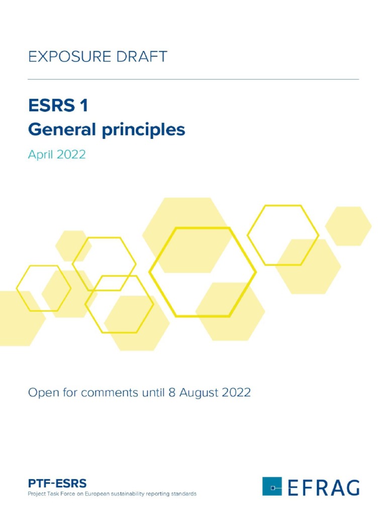 ESRS 1 Sustainability Reporting Guide | PDF | Sustainability | Risk