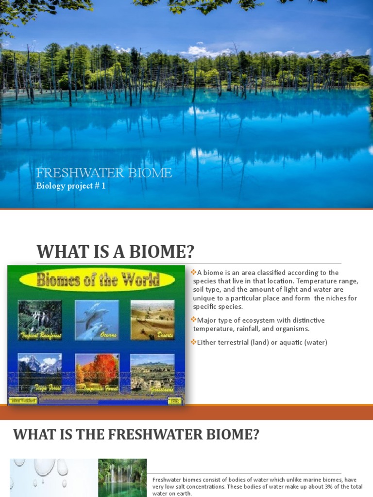 BIOLOGY PRESENTATION (FRESHWATER) (Autosaved) | PDF | Fresh Water | Lake