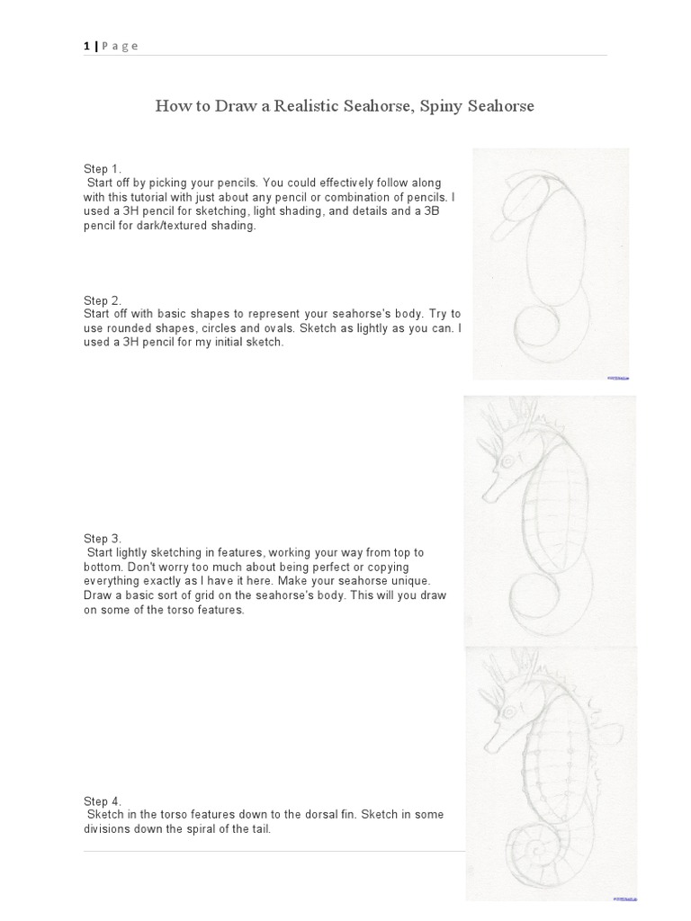 How To Draw A Realistic Seahorse, Spiny Seahorse | PDF | Drawing