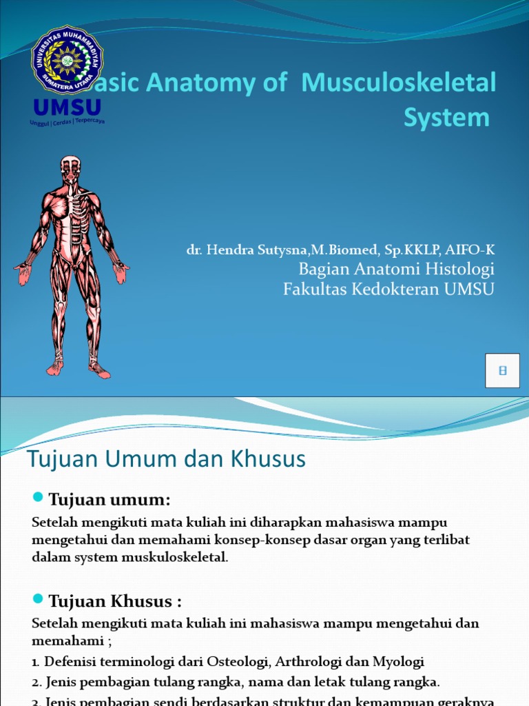 Anatomi Dasar Sistem Muskuloskeletal | PDF