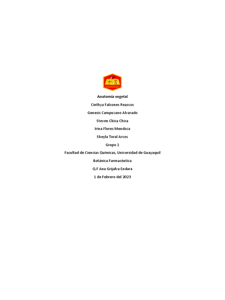 Anatomía Vegetal | PDF | Hoja | Plantas