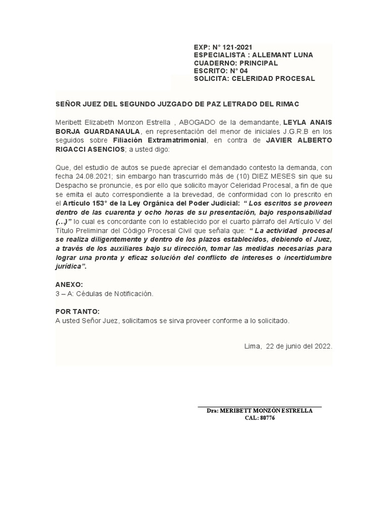 Celeridad Procesal | PDF | Derecho
