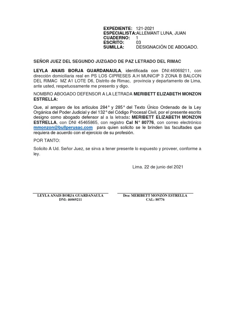 Designacion de Abogado Expediente 121-2021 | PDF