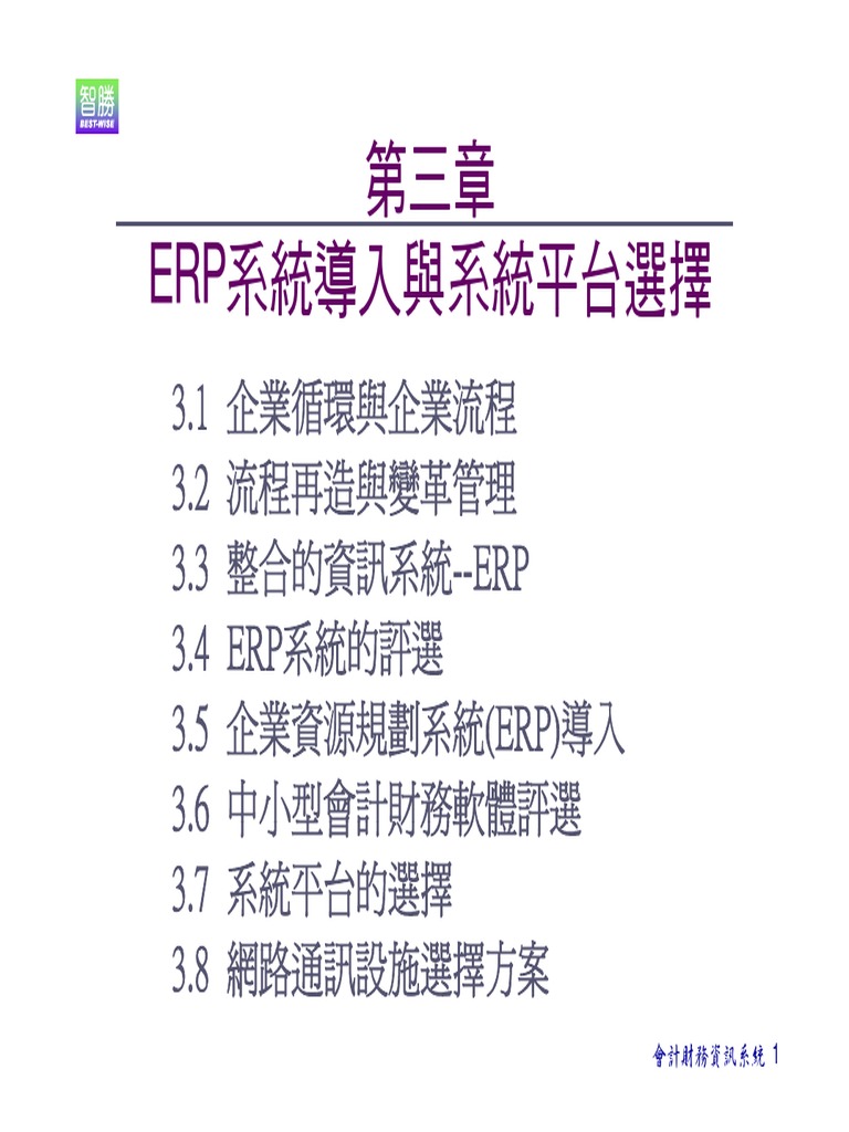 Ch 3erp系統導入與系統平台選擇 | PDF