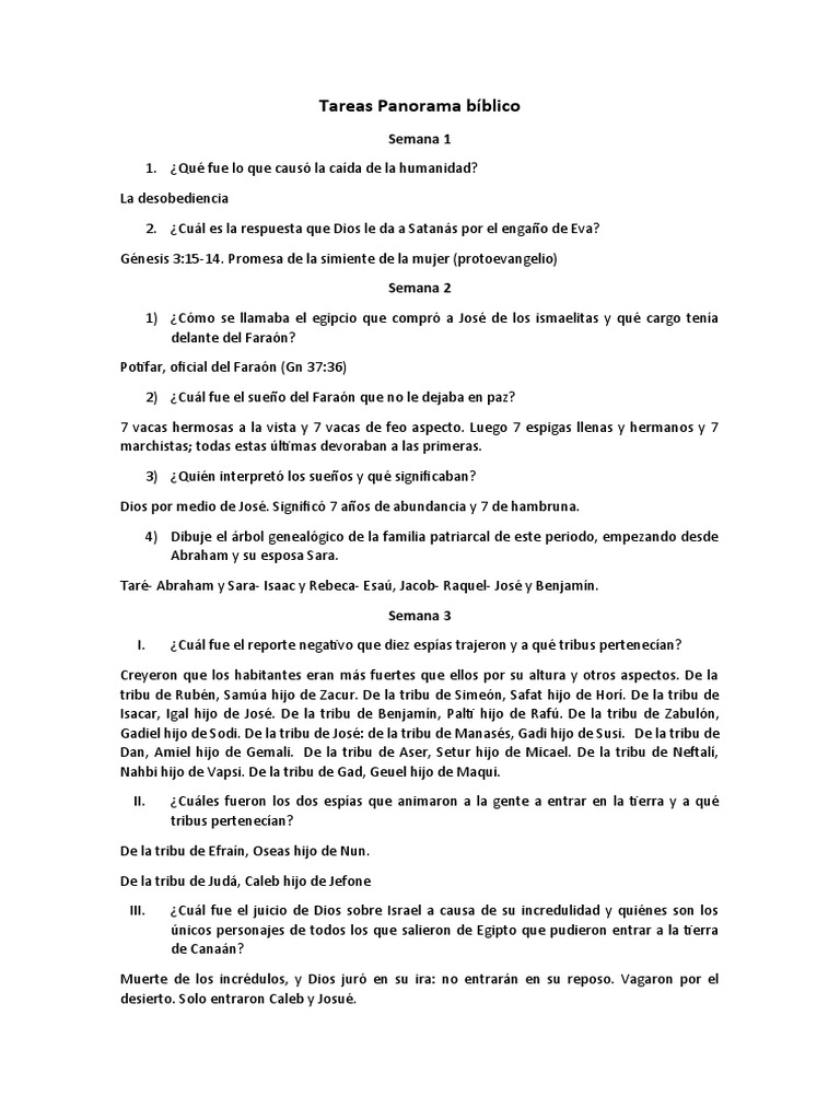 Tareas de Estudio del Panorama Bíblico | PDF | Religión y espiritualidad