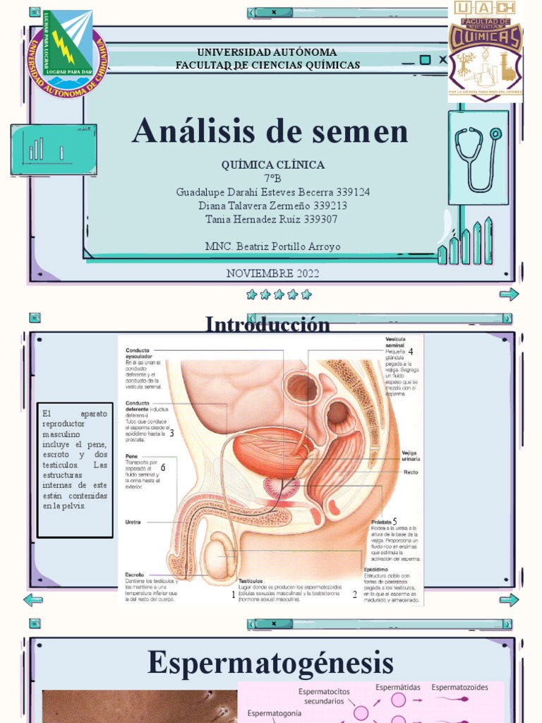 Análisis de Semen | PDF | Semen | Eyaculación