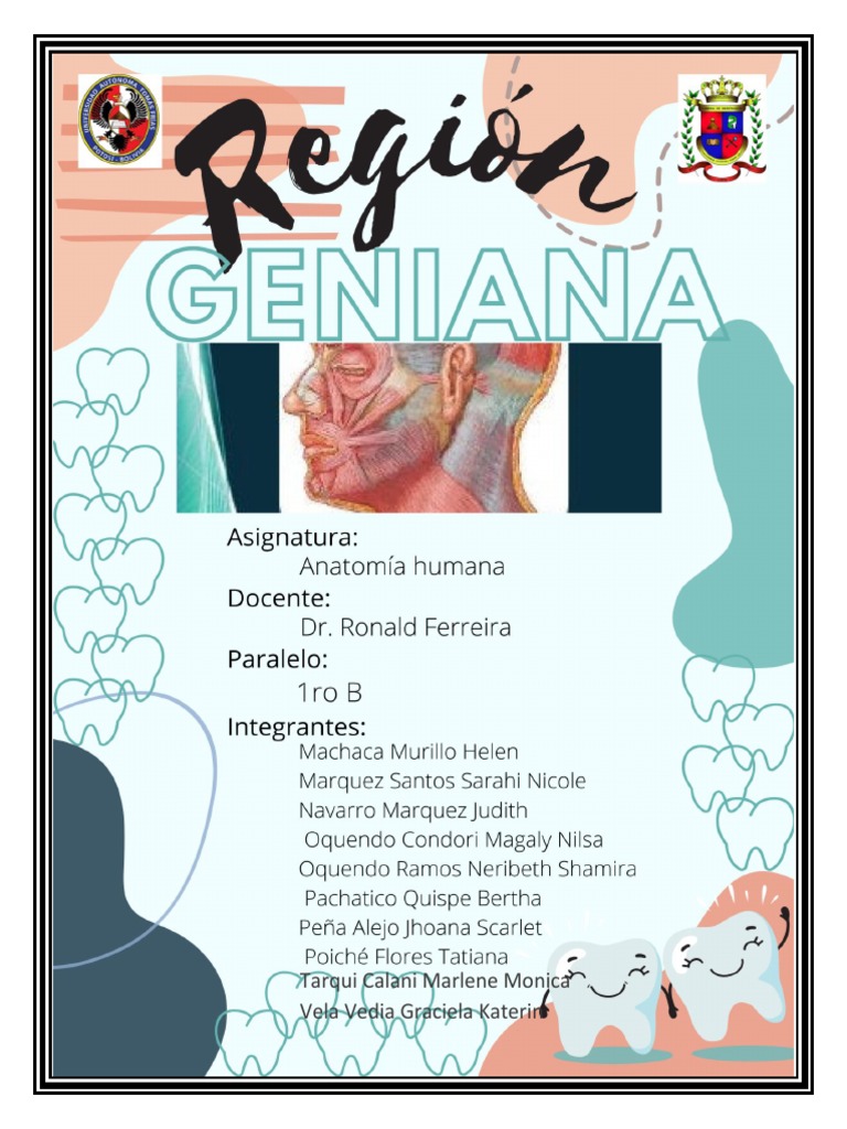 La Región Geniana. | PDF | Piel | Anatomía humana