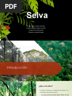 Características de la Selva Húmeda en México | PDF | Selva | Entorno ...