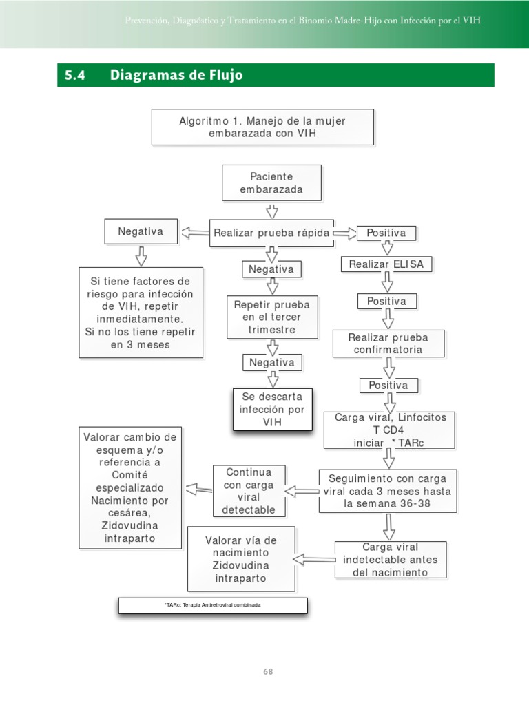 Algoritmo de Emb y RN Con VIH | PDF