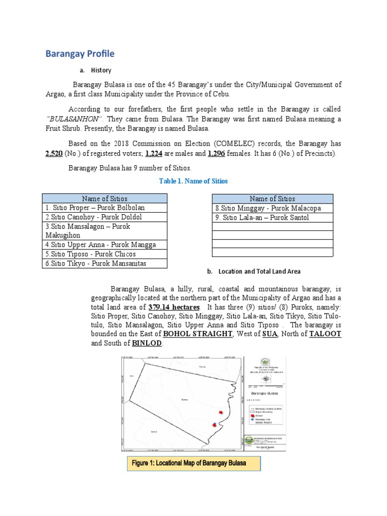 Socio Economic Profile | PDF | Natural Disasters | Flood