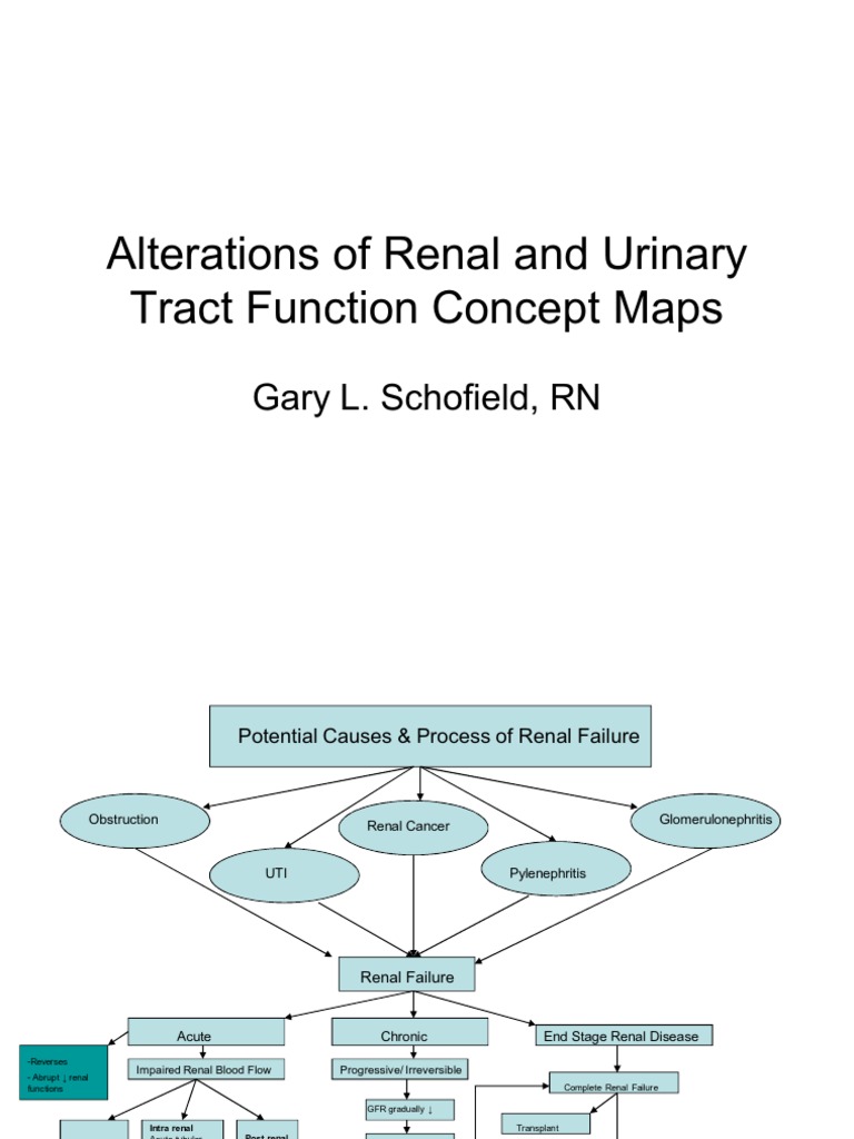 Renal System Concept Map Overview | PDF