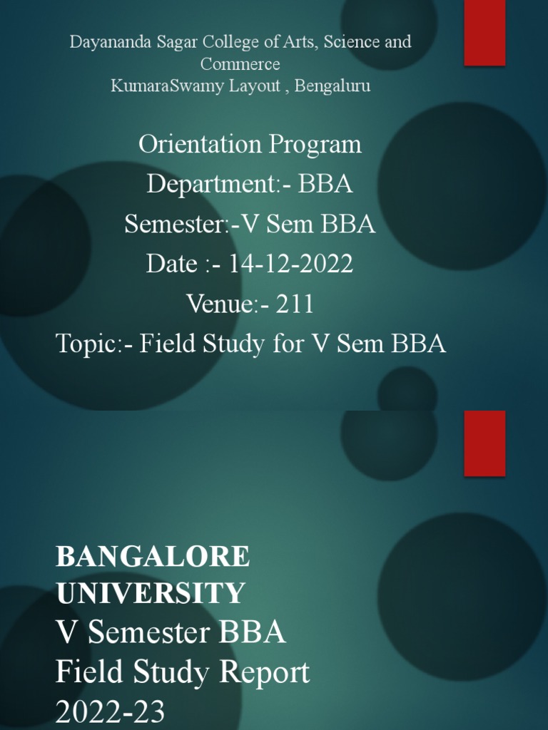 BBA Field Study Report Guidelines | PDF | Banks | Thesis