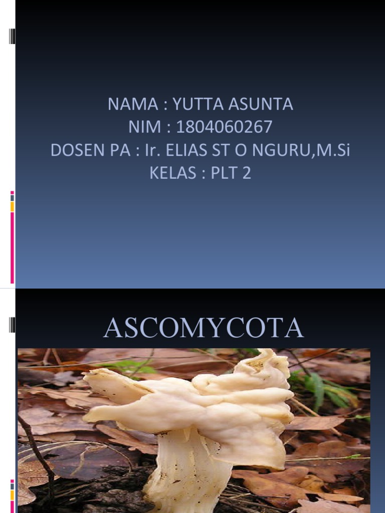 Ascomycota | PDF