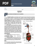 Digestive System Flow Chart | PDF | Digestion | Human Digestive System