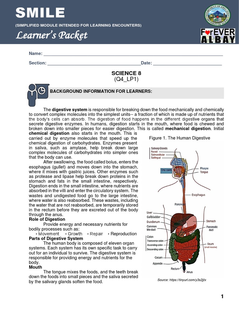 Q4 Science8 | PDF