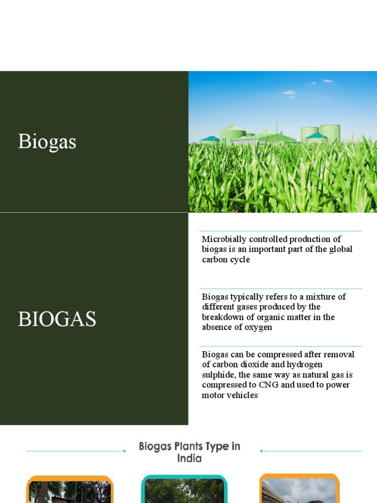 Biogas | PDF | Biogas | Anaerobic Digestion