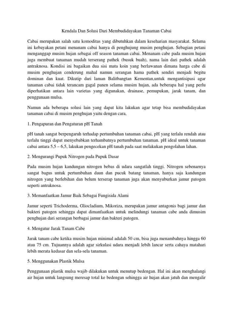 Kendala Dan Solusi Budidaya Cabai | PDF