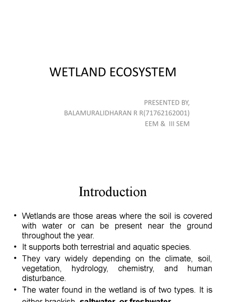 Wetland Ecosystem | PDF | Wetland | Marsh