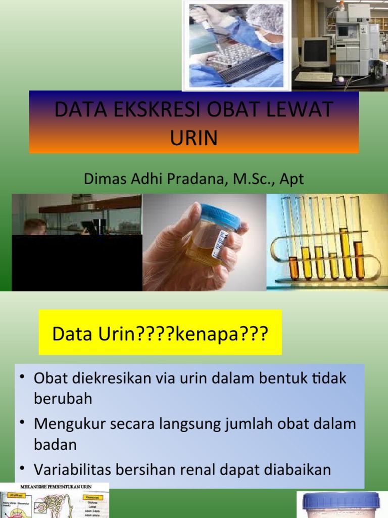 Model 1 Kompartemen Intra Vascular Data Urin | PDF