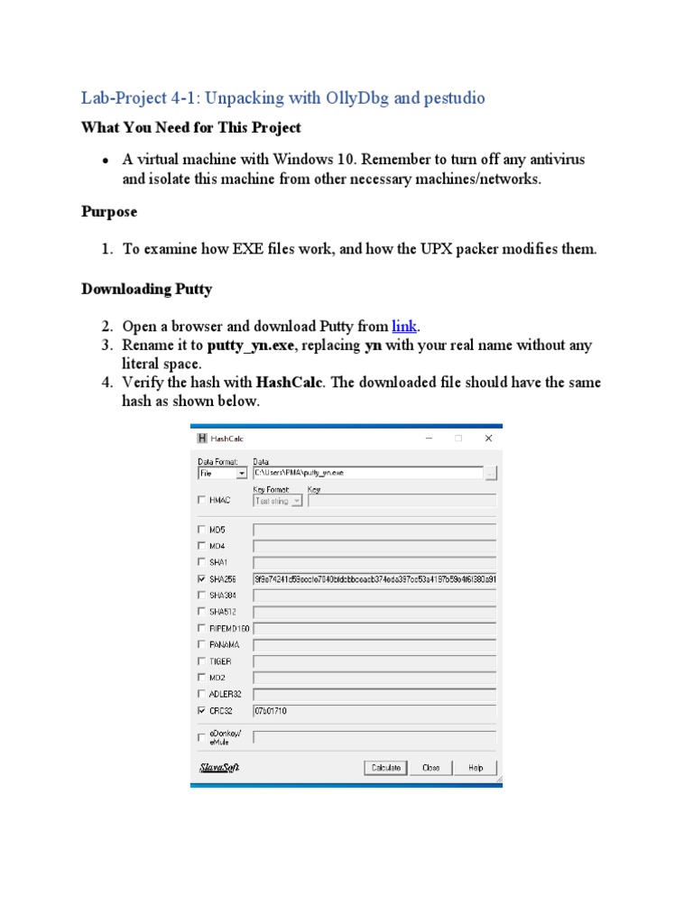 Reverse Engineering with OllyDbg | PDF | Computer File | Zip (File Format)
