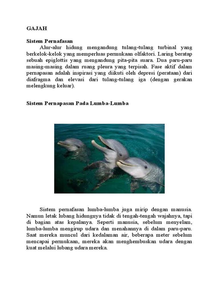 GAJAH | PDF