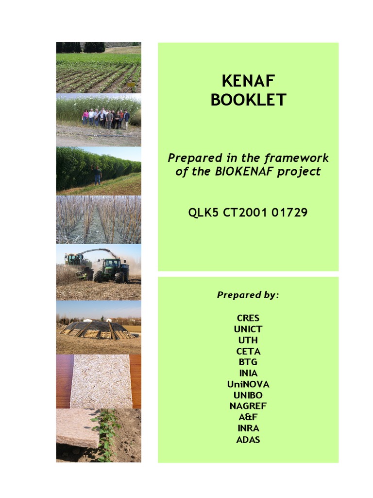Kenaf: A Guide for EU Farmers | PDF | Soil | Fertilizer