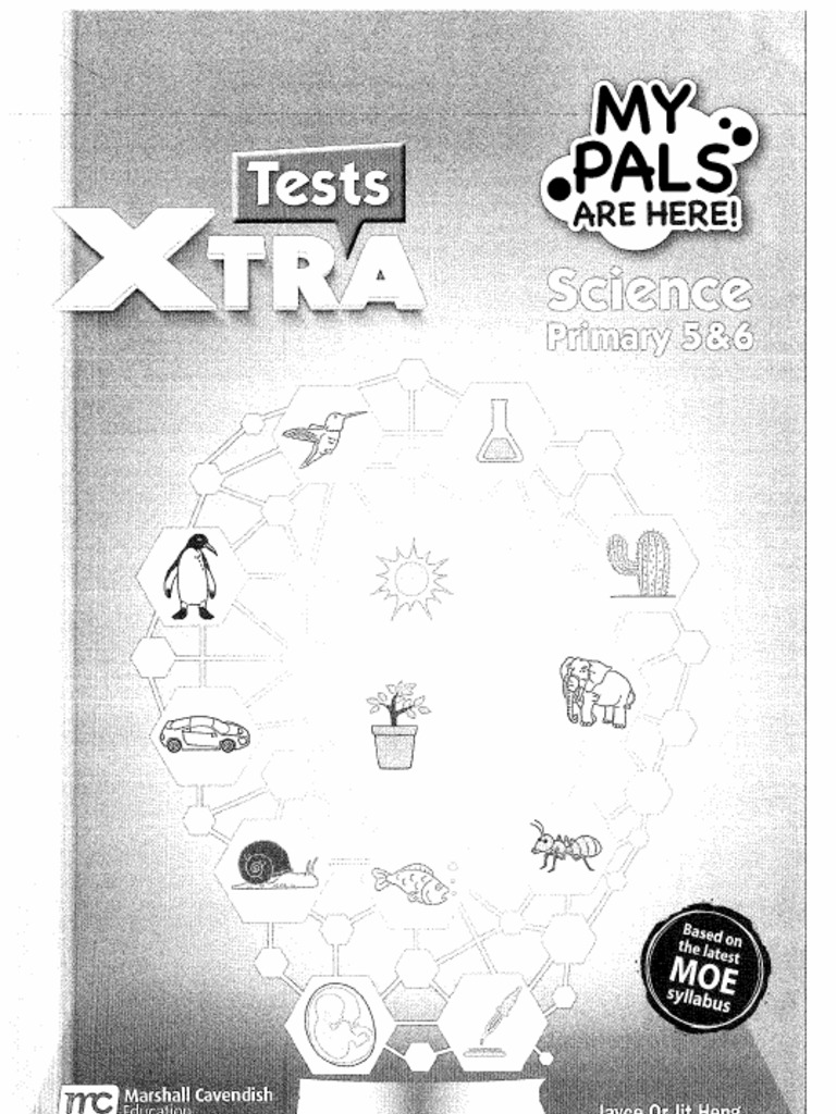 P5 & P6 SCI - My Pals Are Here Test Xtra | PDF