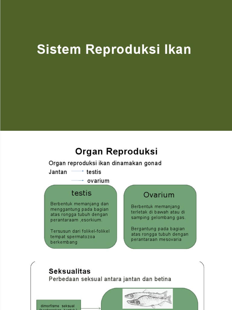 Sistem Reproduksi Ikan | PDF