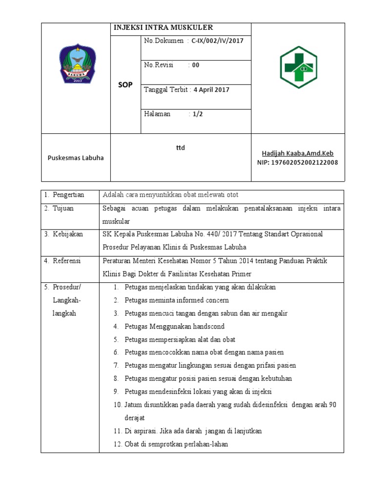 INTRAMUSCULAR INJECTION PROCEDURE | PDF