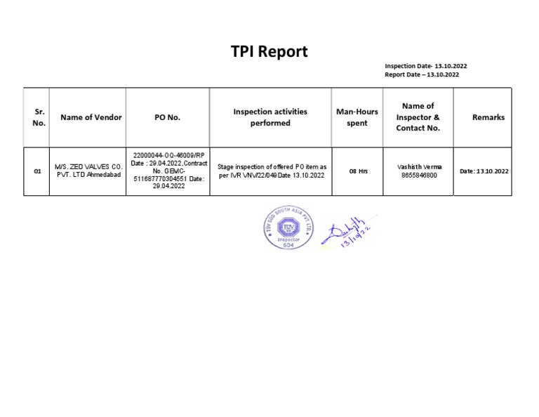 TPI Report | PDF