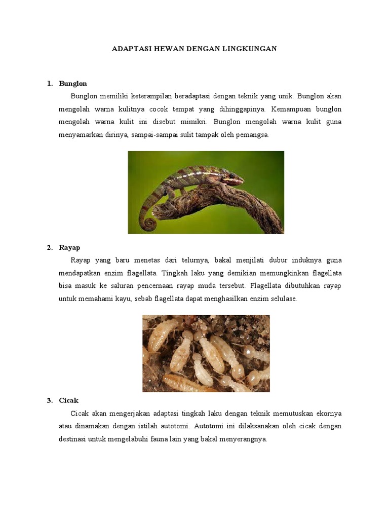 Adaptasi Hewan Dengan Lingkungan | PDF