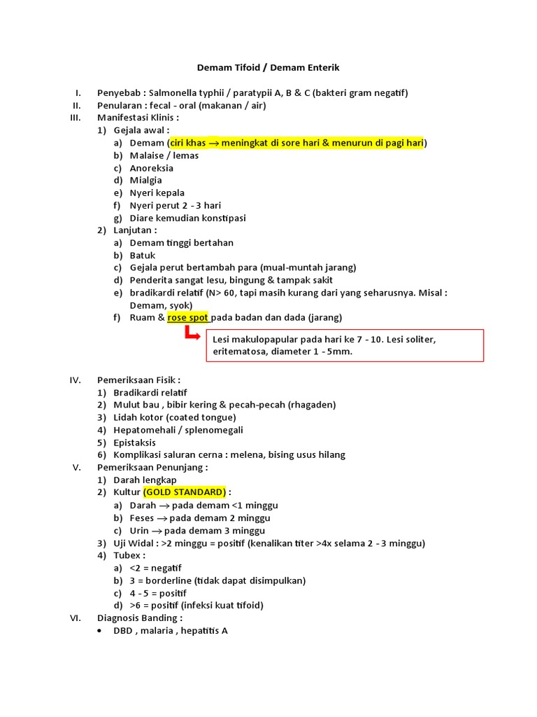 Demam Tifoid | PDF | Sains & Matematika | Kesehatan Holistik