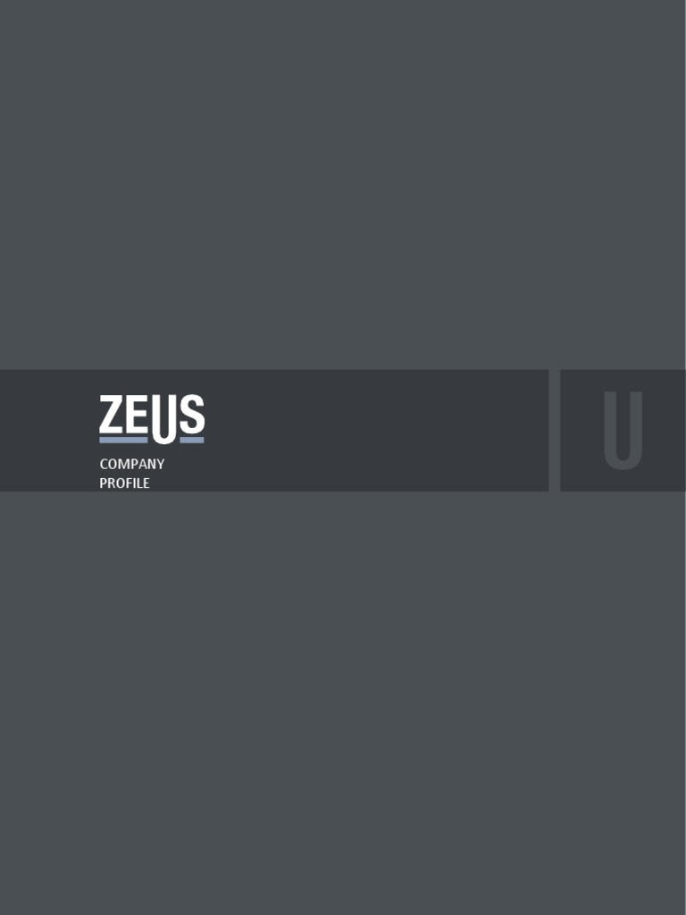 Zeus Capital Inglese | PDF | Private Equity | Risk