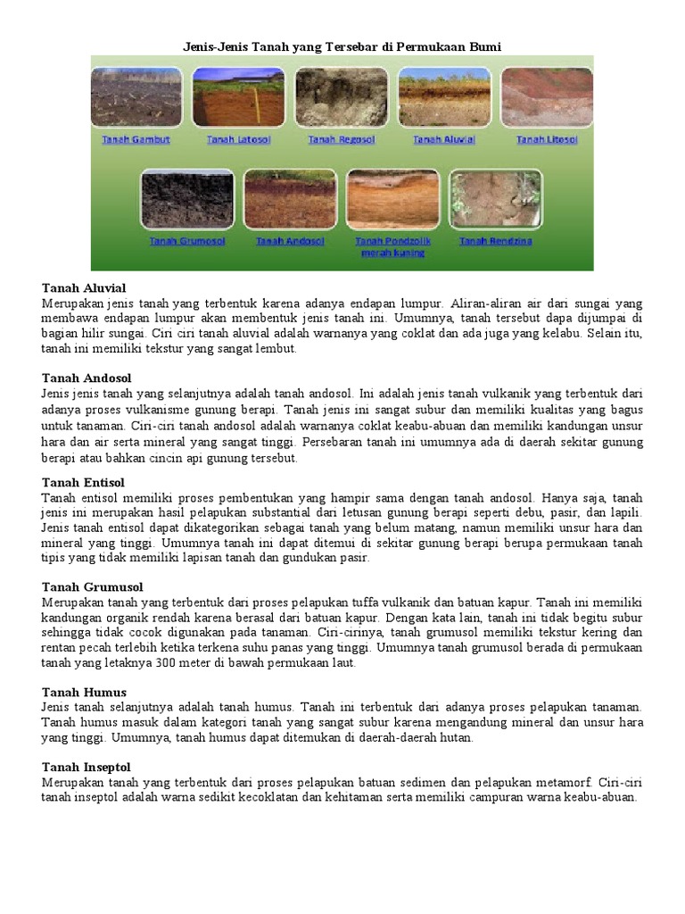 Jenis-Jenis Tanah | PDF | Griya & Taman | Sains & Matematika
