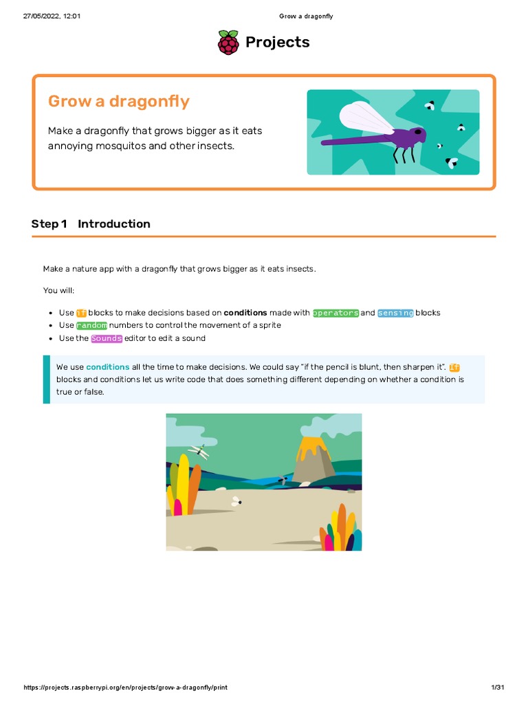 Grow A Dragonfly | PDF | Scratch (Programming Language) | Dragonfly