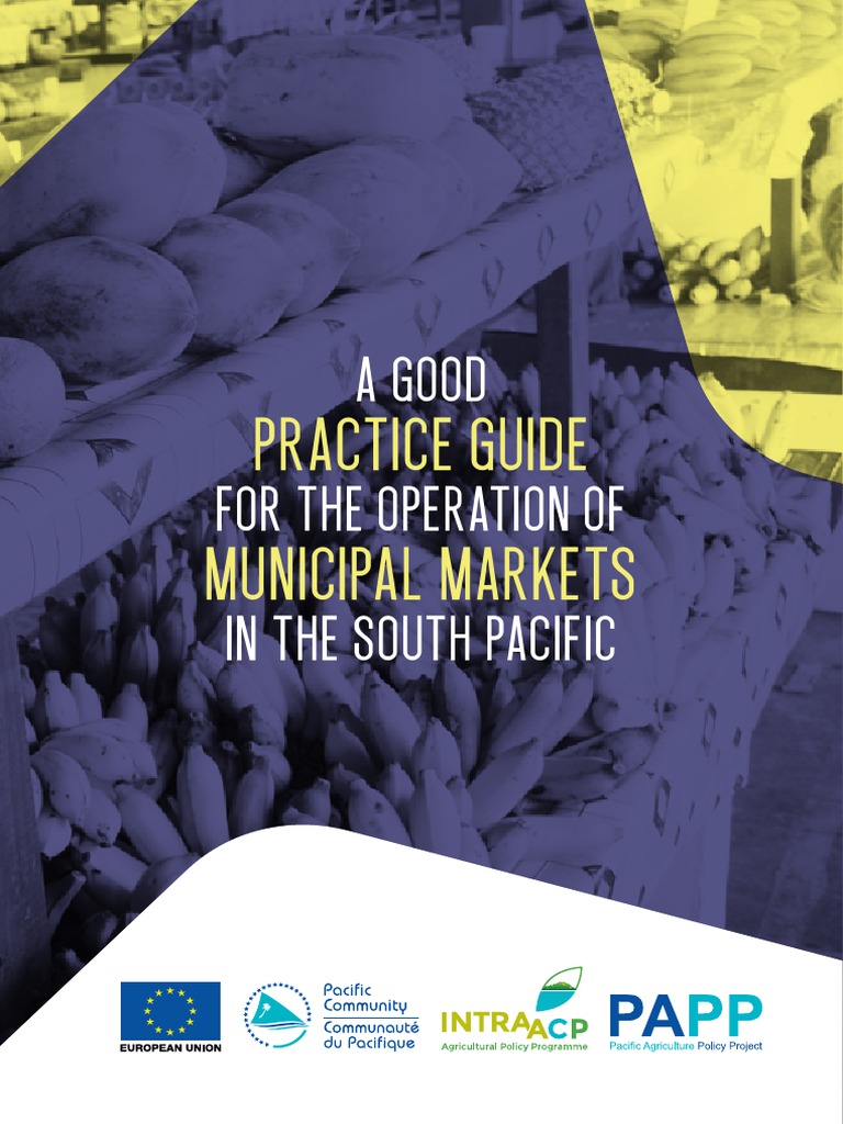 Municipal Market Guide REV | PDF | Lease | Leasehold Estate