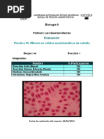 Modelo para Informe Lab-IEEE - Mod Lis | PDF | Sumario abstracto) | Medición
