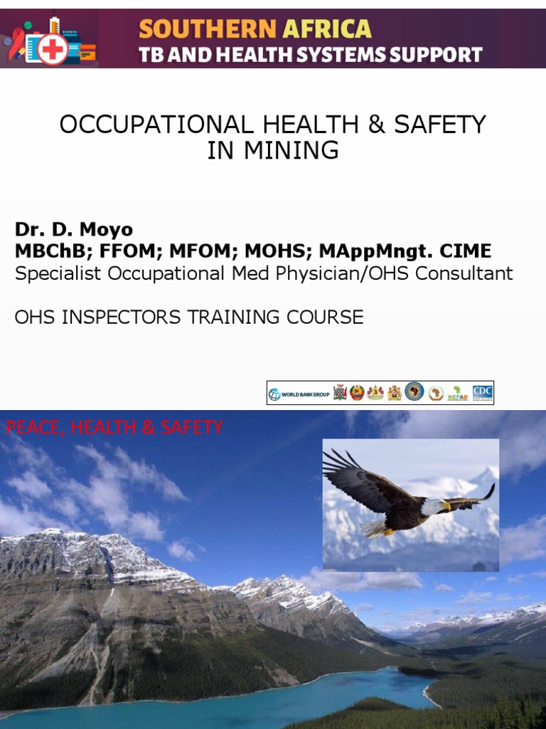 SATBHSS Presentation Template DR Moyo 19 | PDF | Risk | Occupational ...