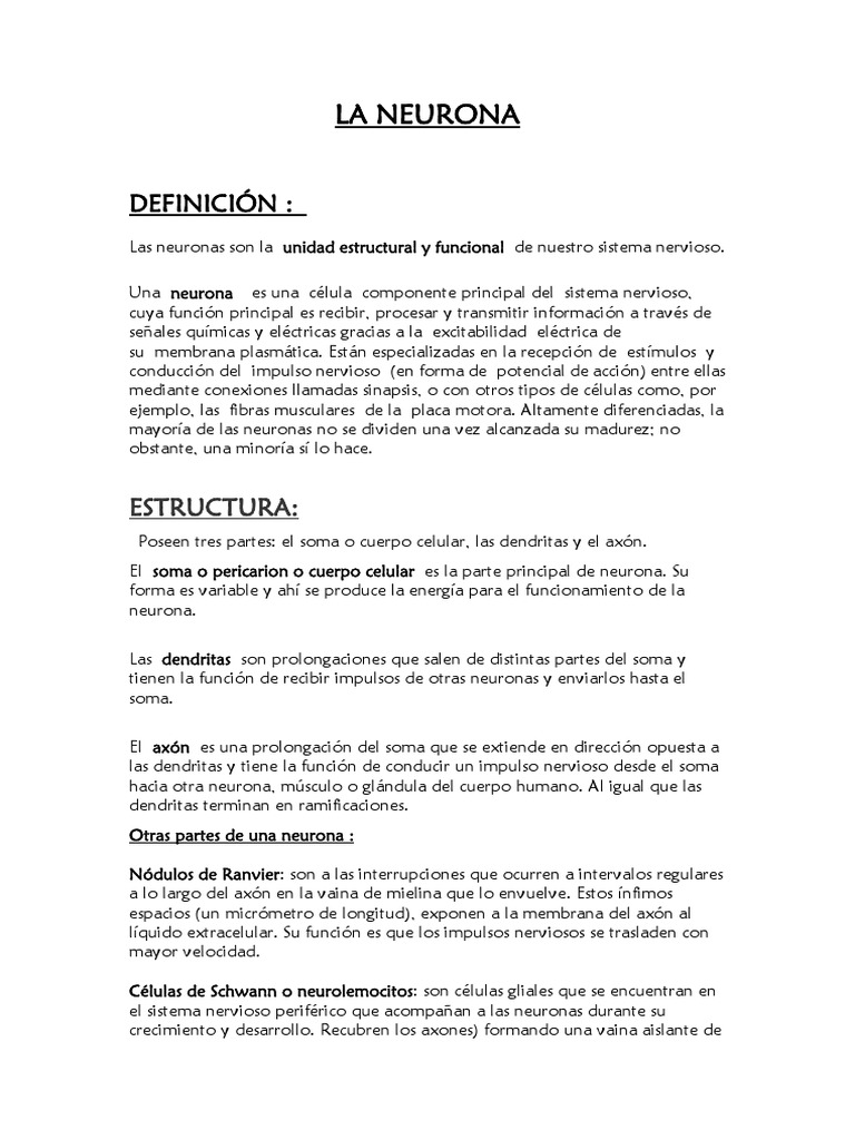 La Neurona | PDF | Neurona | Axon